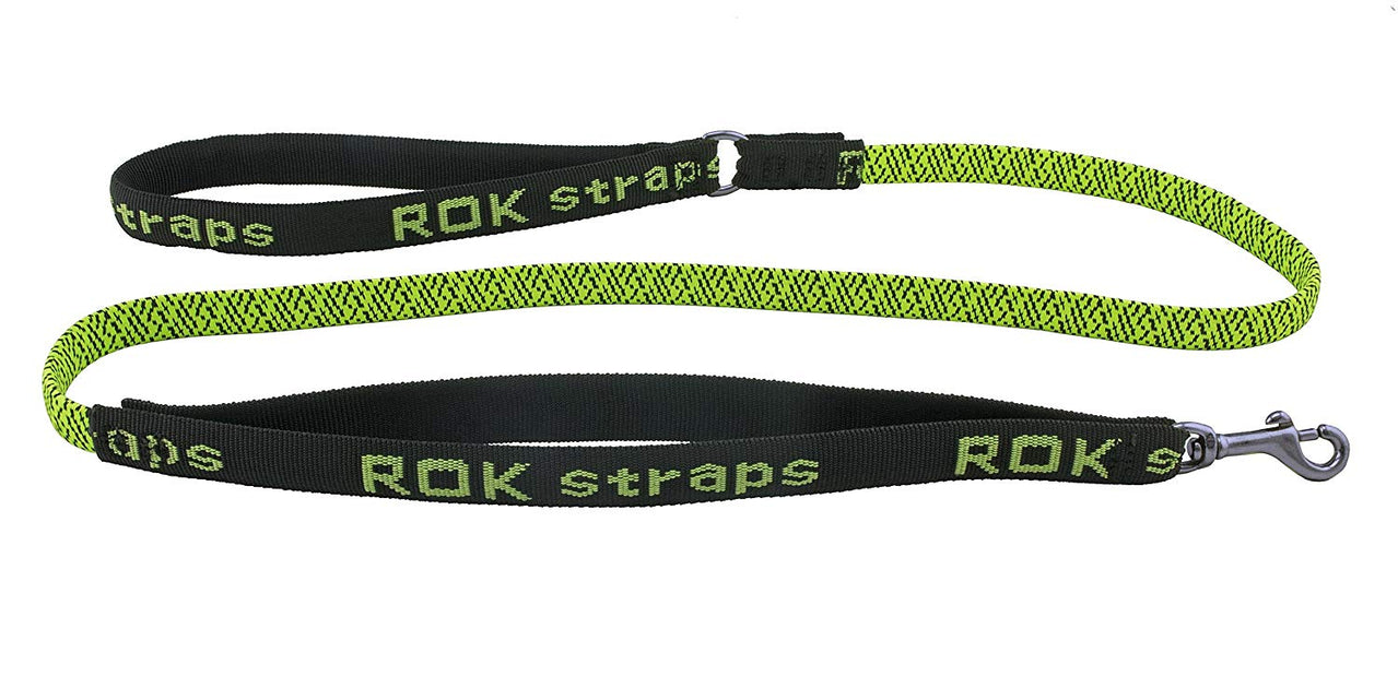 Rok 54" Stretch Dog Leash, Large – The Hipster Hound